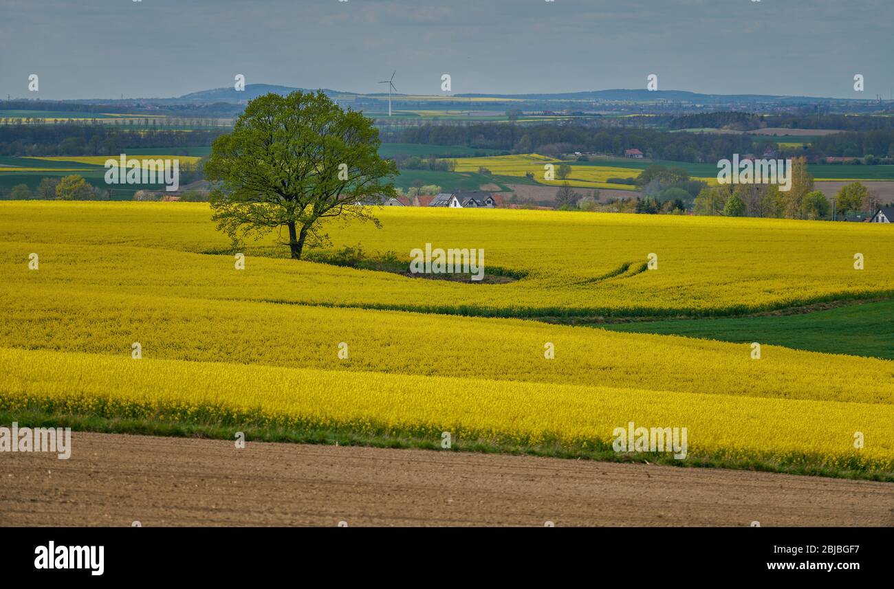 Lower Silesian spring rural landscape Stock Photo - Alamy