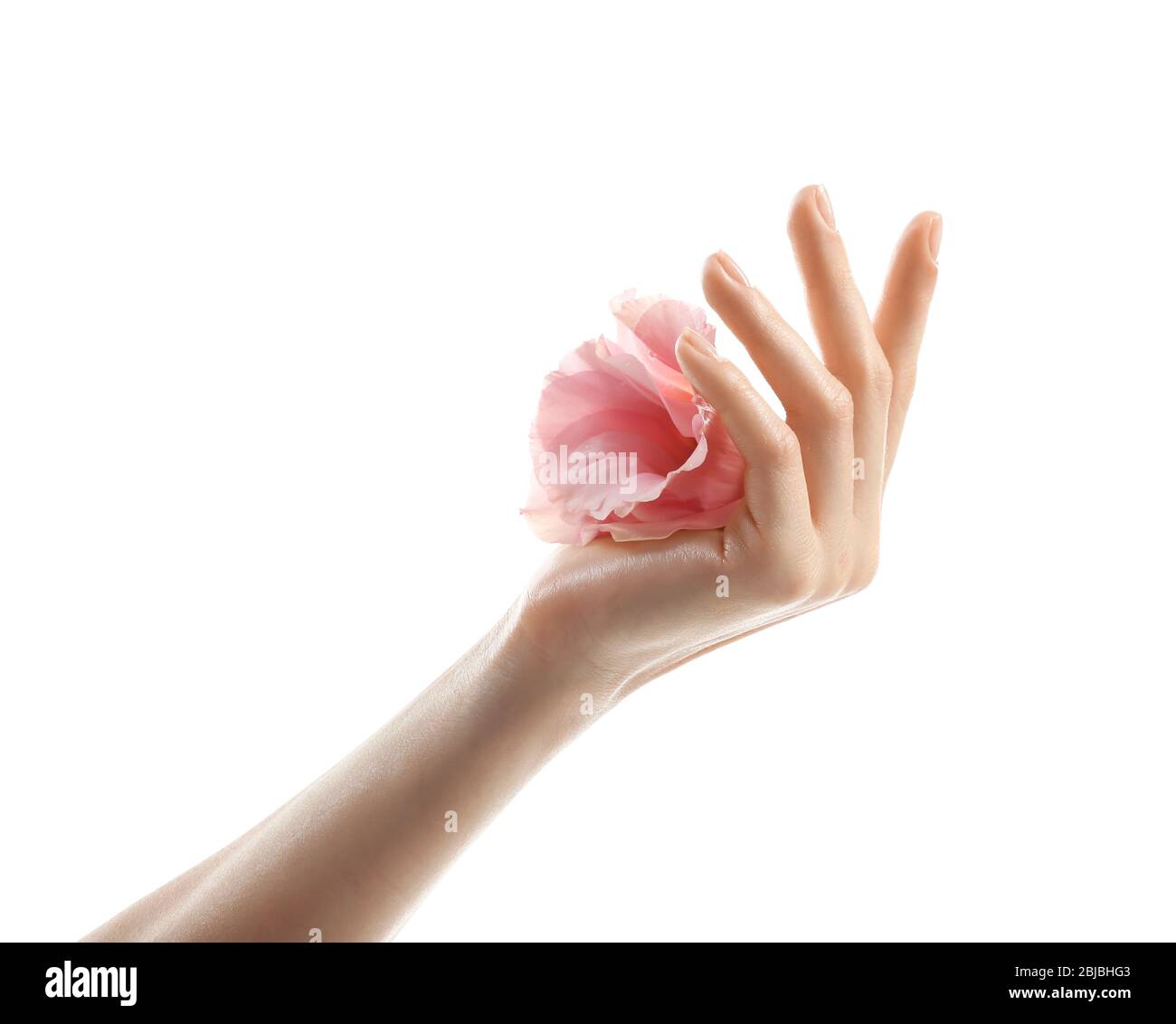 Female hand with flower, isolated on white Stock Photo - Alamy