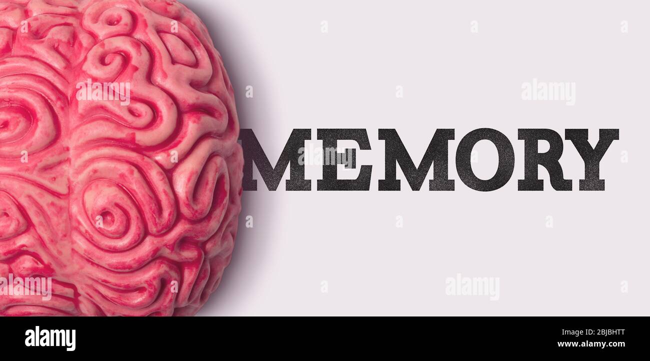 Human insight hi-res stock photography and images - Alamy