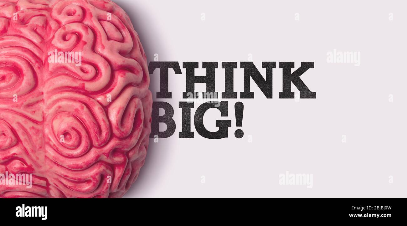 Think big word next to a human brain model Stock Photo - Alamy