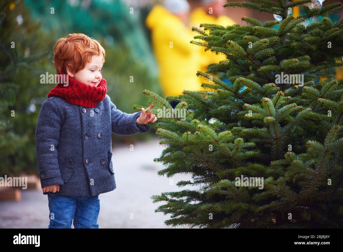 Boy touching tree hi-res stock photography and images - Alamy