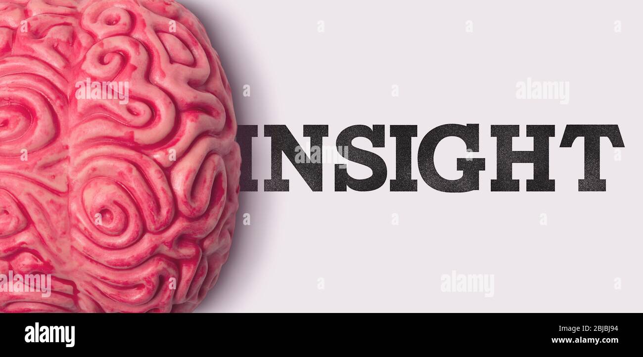 insight word next to a human brain model Stock Photo - Alamy