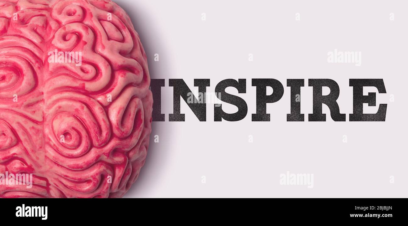 Inspire word next to a human brain model Stock Photo - Alamy