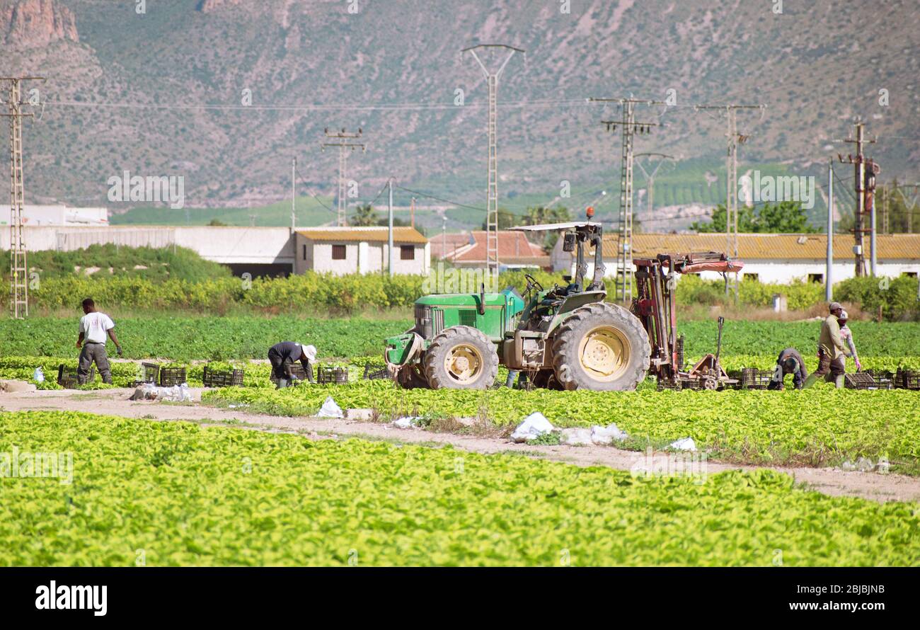 Pick the lock hi-res stock photography and images - Alamy