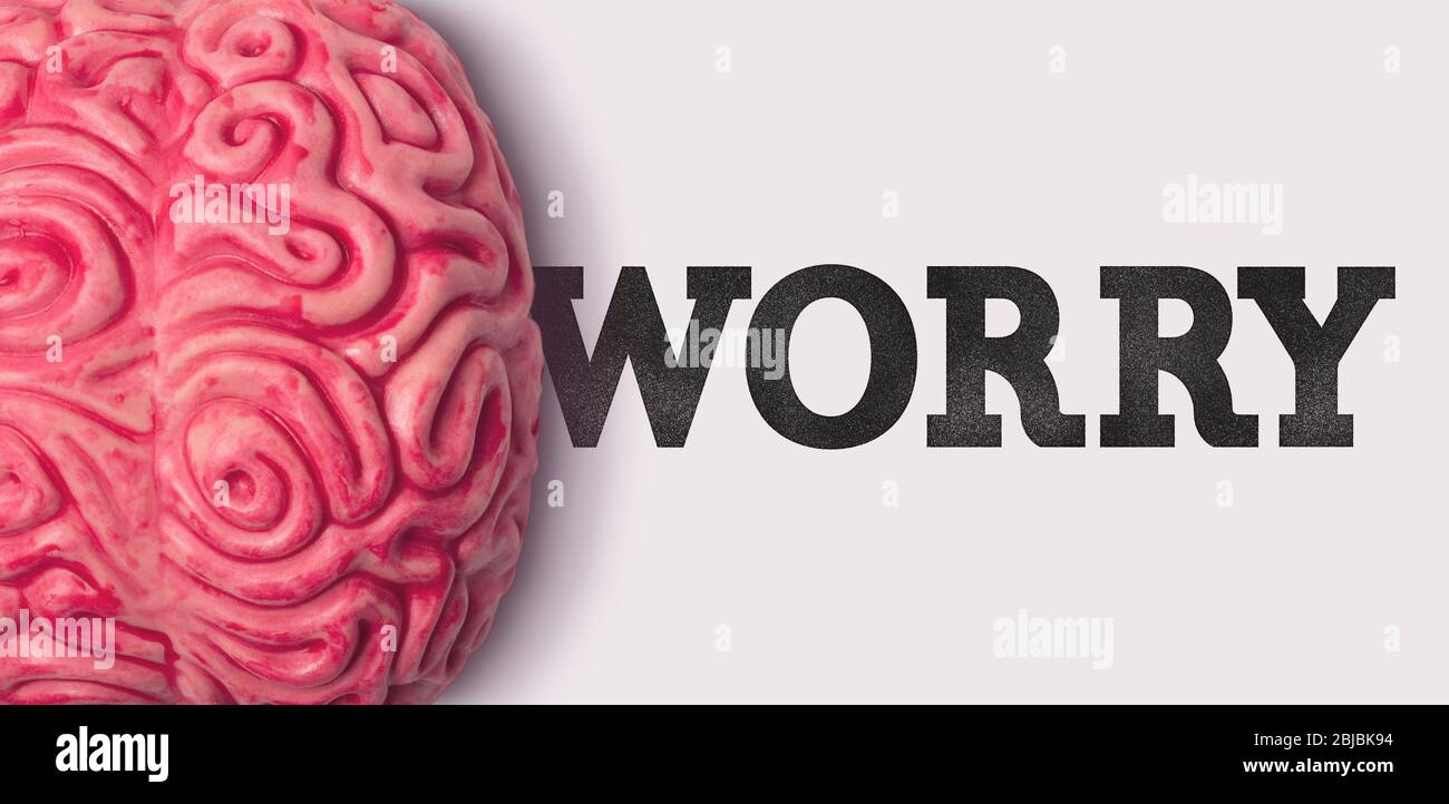 Worry word next to a human brain model Stock Photo - Alamy