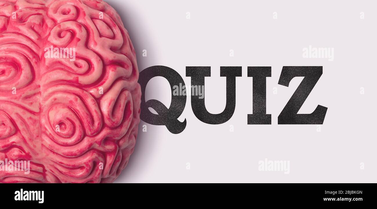 Brain quiz hi-res stock photography and images - Alamy