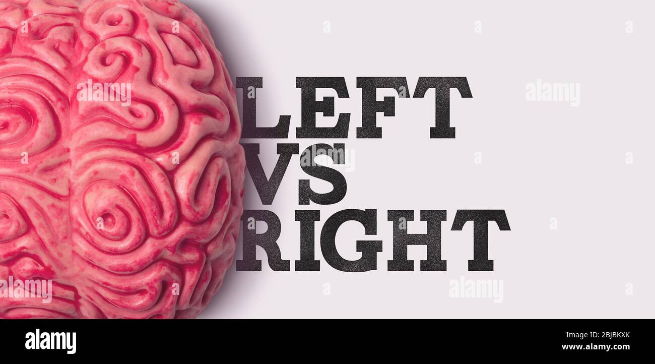 Left brain vs right brain hi-res stock photography and images - Alamy