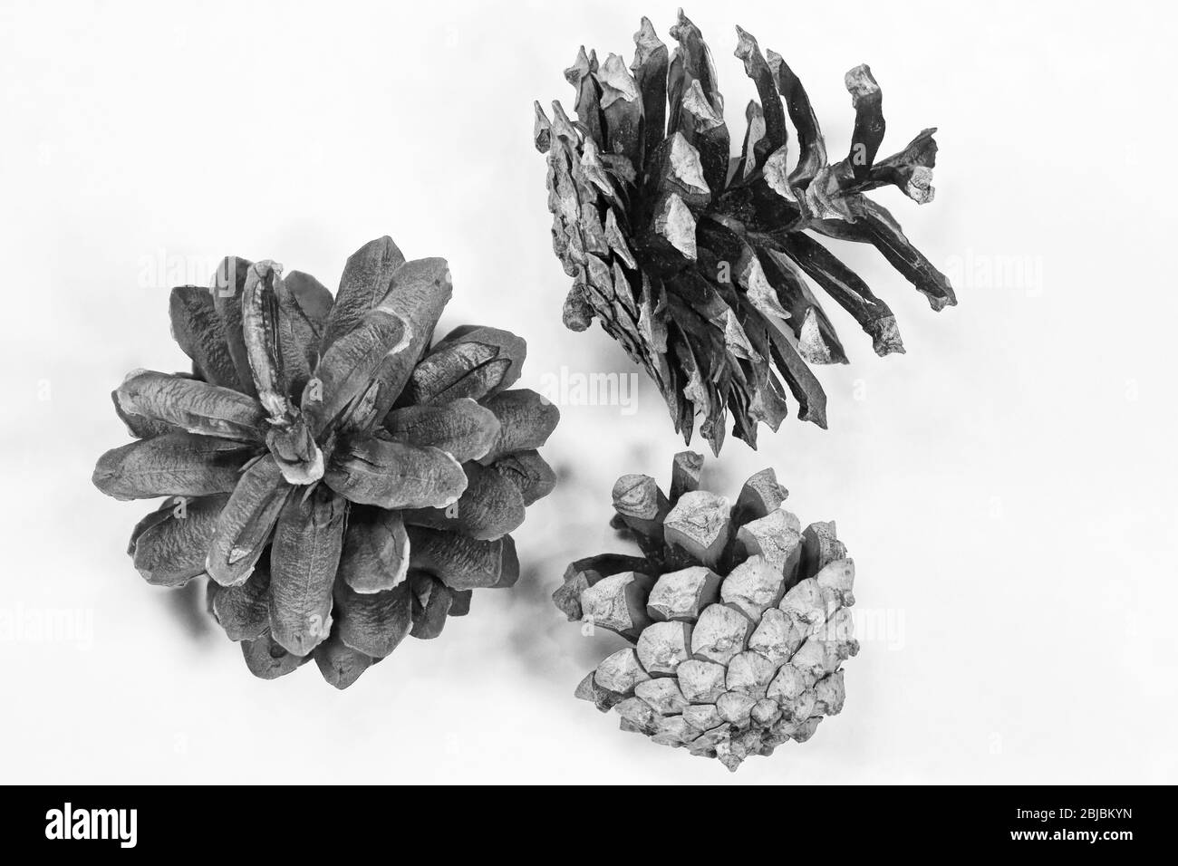 Bumps image Black and White Stock Photos & Images - Alamy