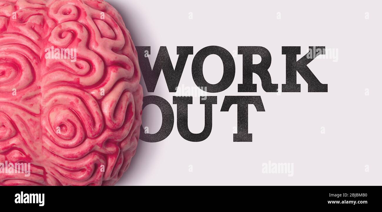 Work out word next to a human brain model Stock Photo - Alamy