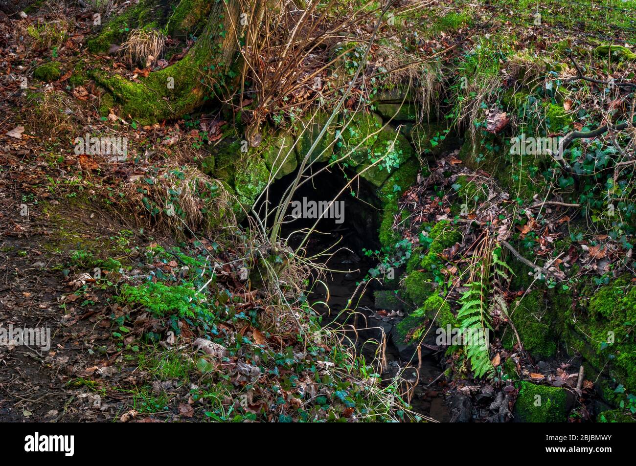 Arched entrance to a culvert taking water from the goit into the ...