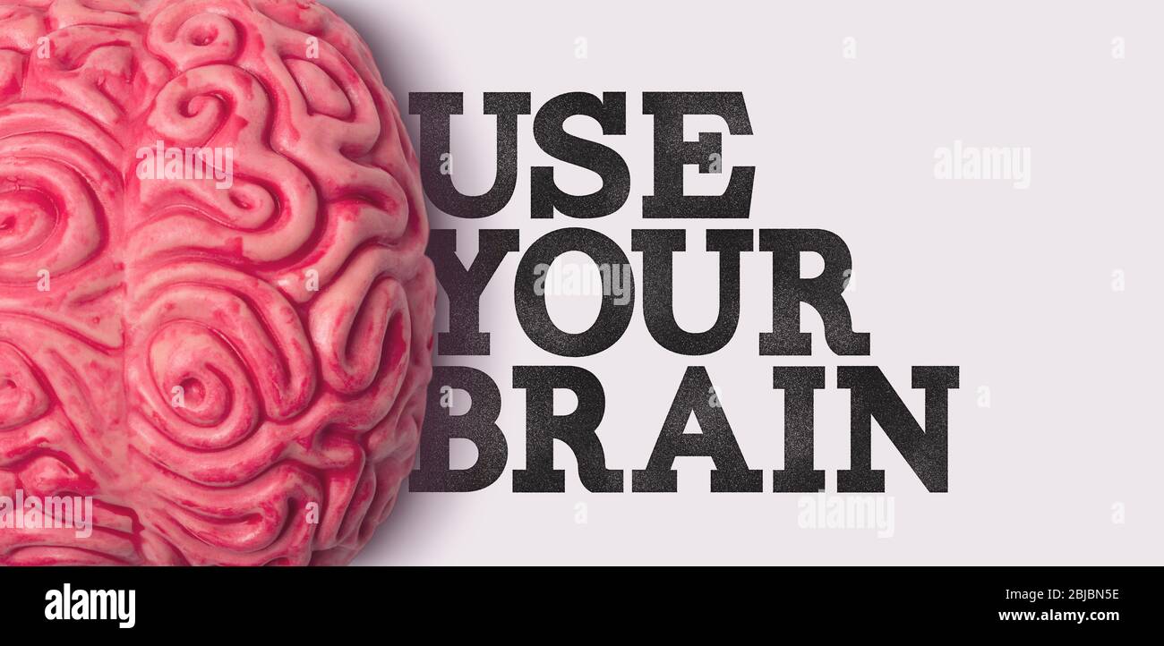 use your brain word next to a human brain model Stock Photo - Alamy