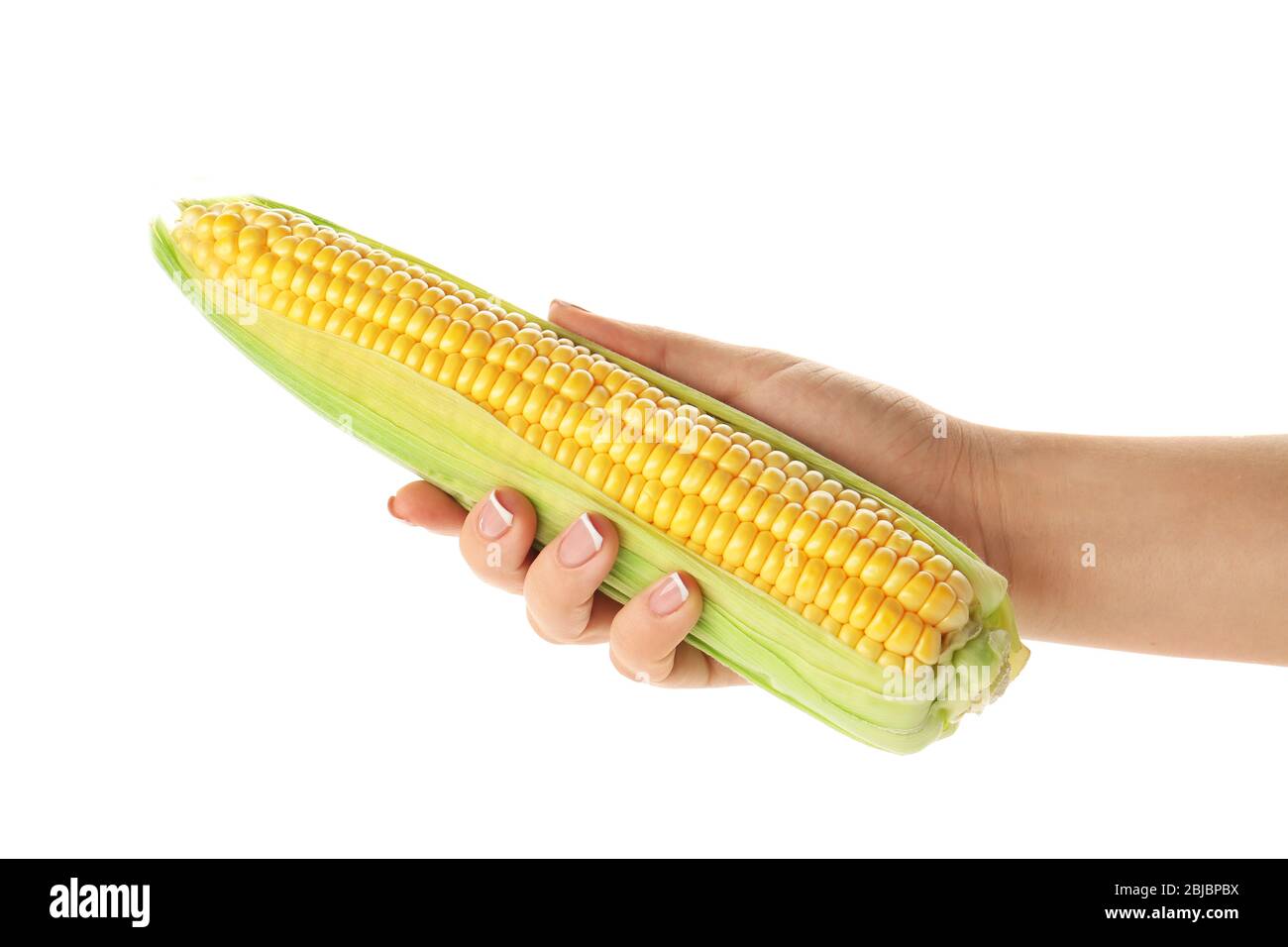 Female hand holding fresh sweet corn on white background Stock Photo ...