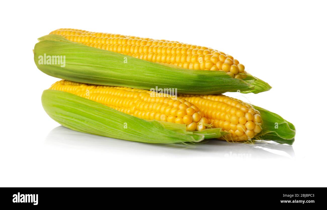 Fresh sweet corn on white background Stock Photo - Alamy