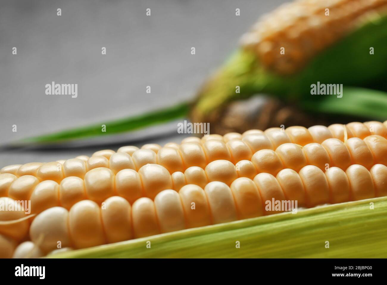 Fresh sweet corn, closeup Stock Photo - Alamy