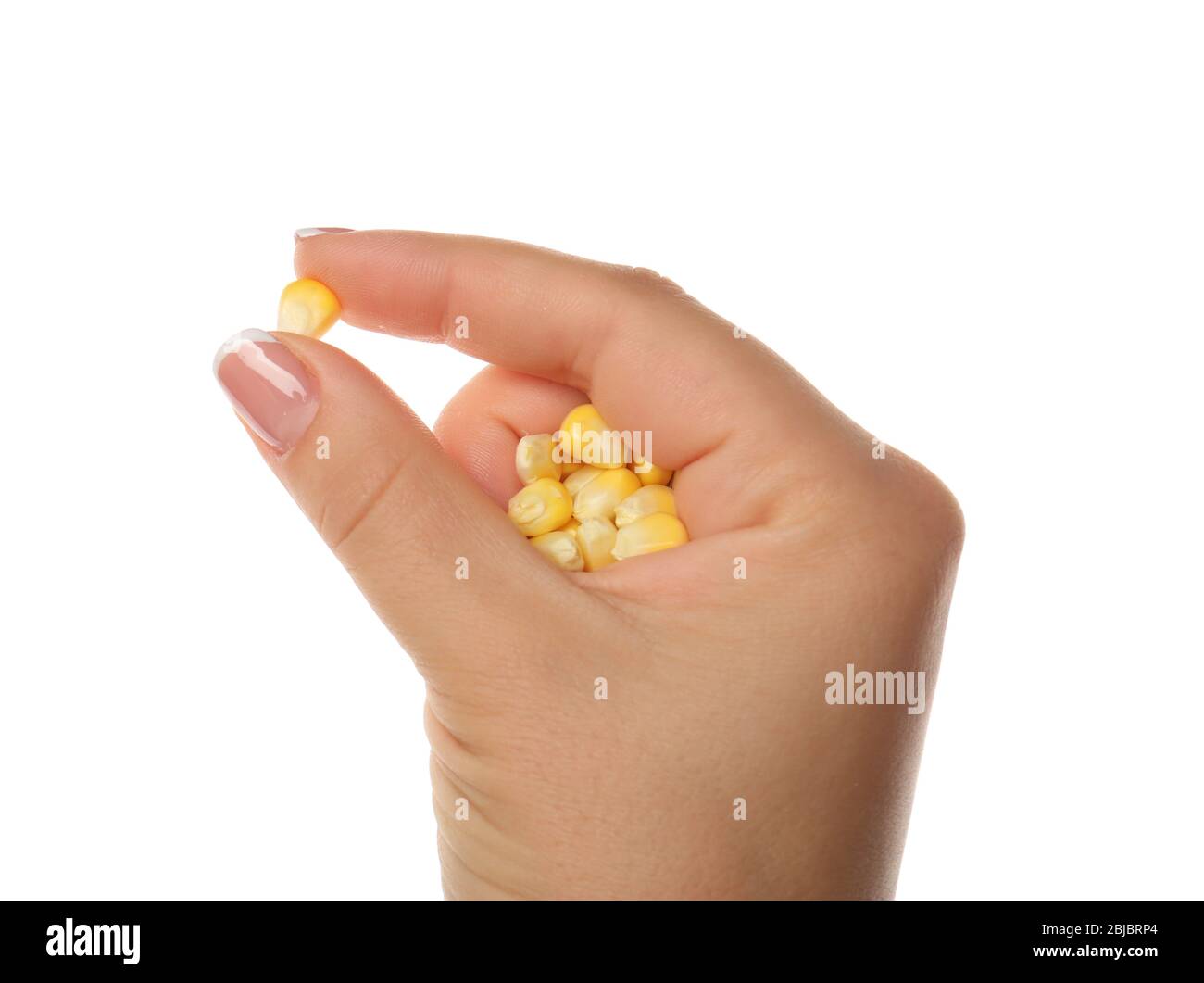 Female hand holding a corn grain on white background Stock Photo - Alamy