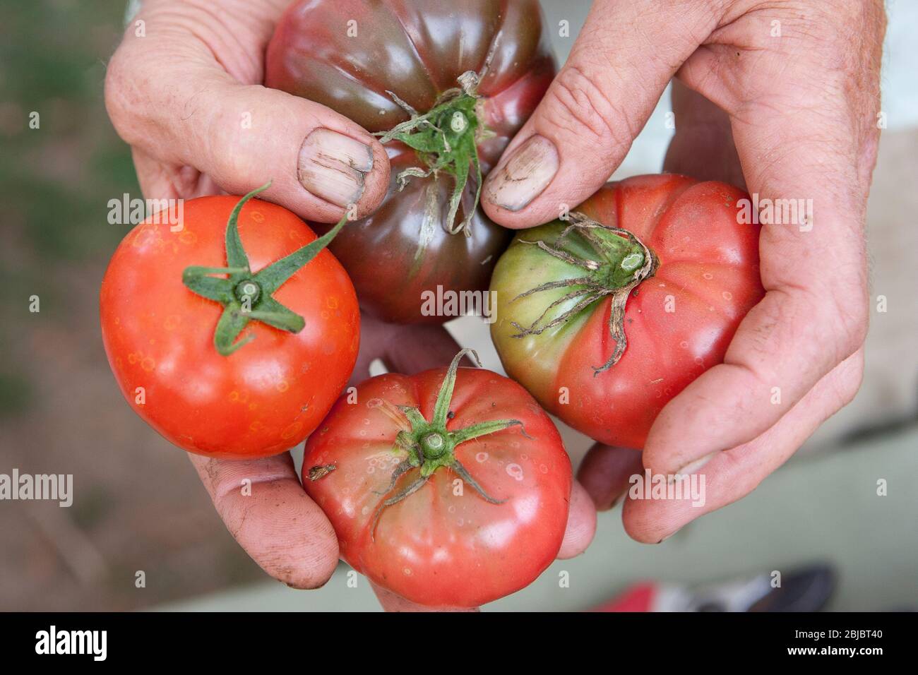 Farmer hands dirty hi-res stock photography and images - Alamy