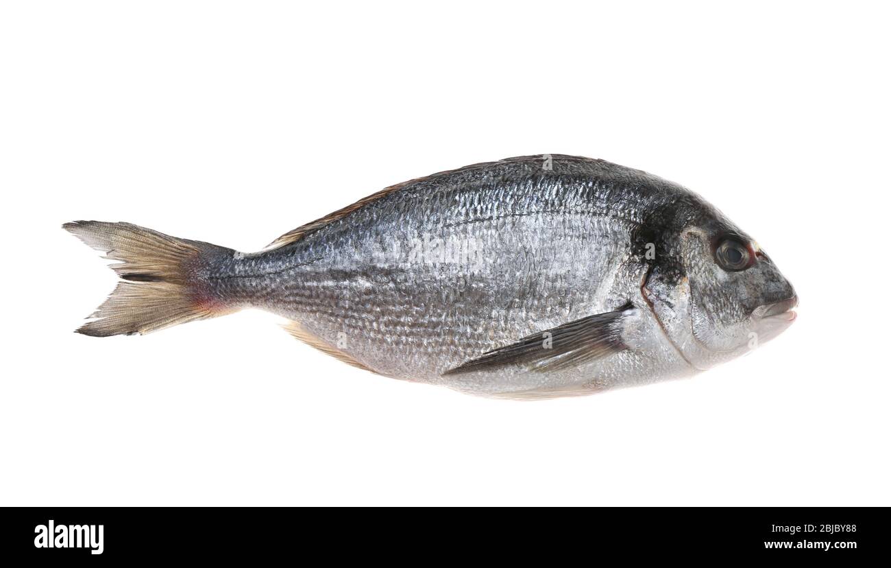 Raw fish, isolated on white Stock Photo - Alamy