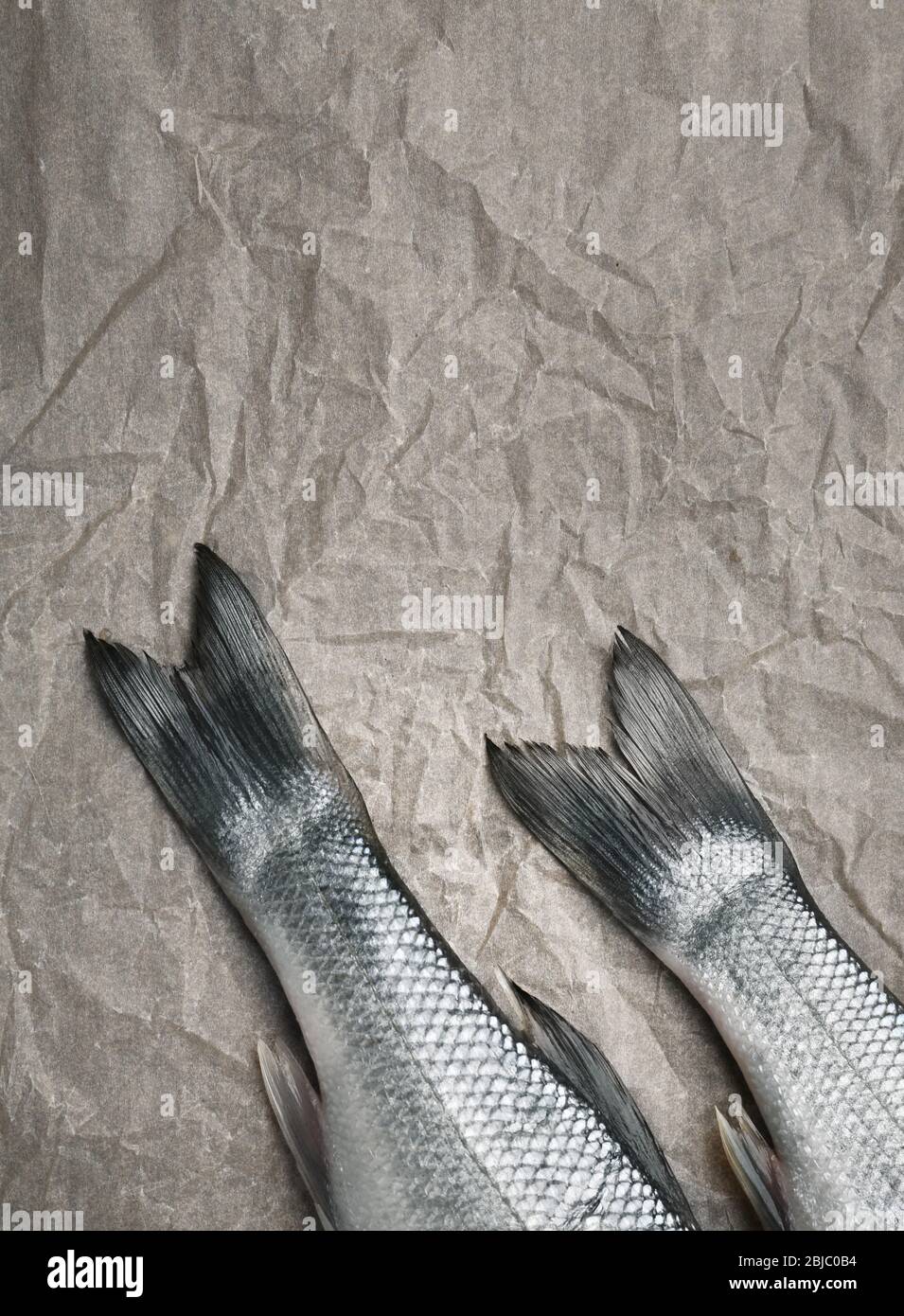 Raw fish on paper textured background Stock Photo - Alamy