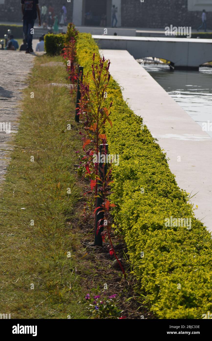 Pinjore garden hi-res stock photography and images - Alamy