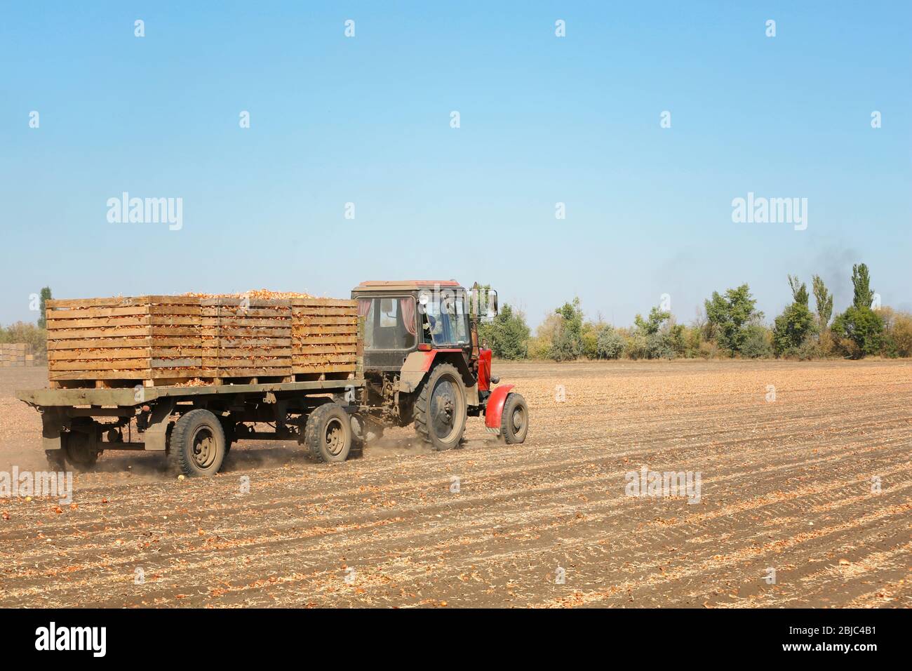 Onion harvesting modern agricultural hi-res stock photography and ...