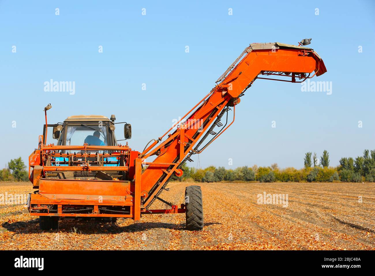 Onion harvesting with modern agricultural equipment in field Stock ...