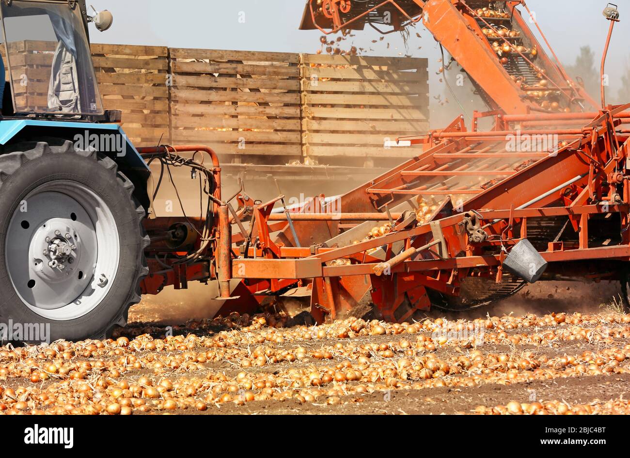 Onion harvesting modern agricultural hi-res stock photography and ...