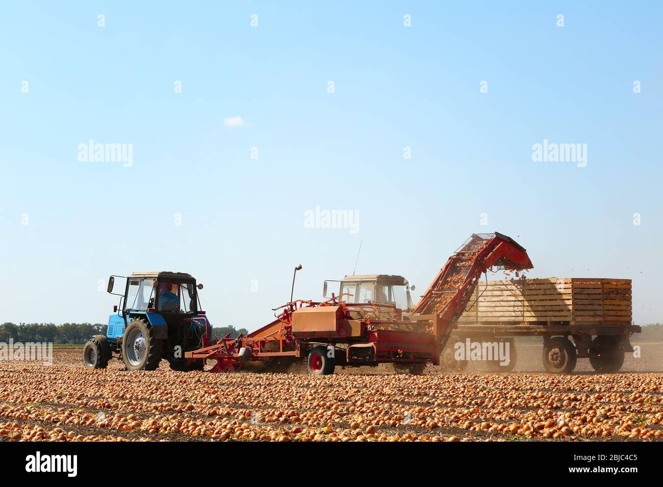 Onion harvesting modern agricultural hi-res stock photography and ...