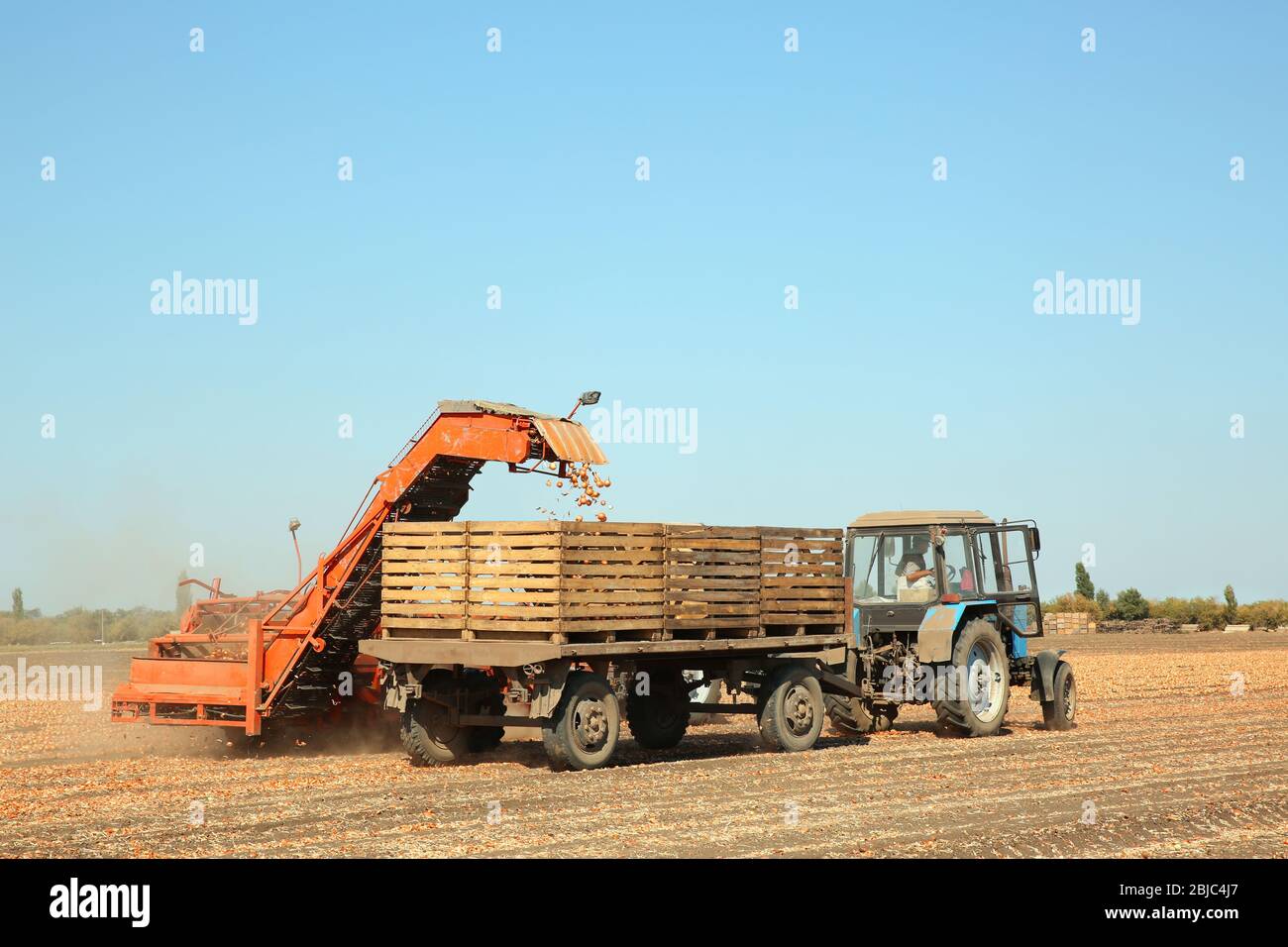 Onion harvesting modern agricultural hi-res stock photography and ...