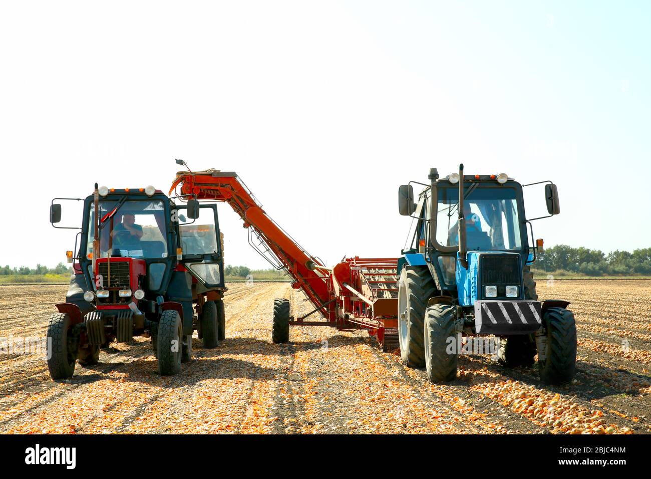 Onion harvesting modern agricultural hi-res stock photography and ...