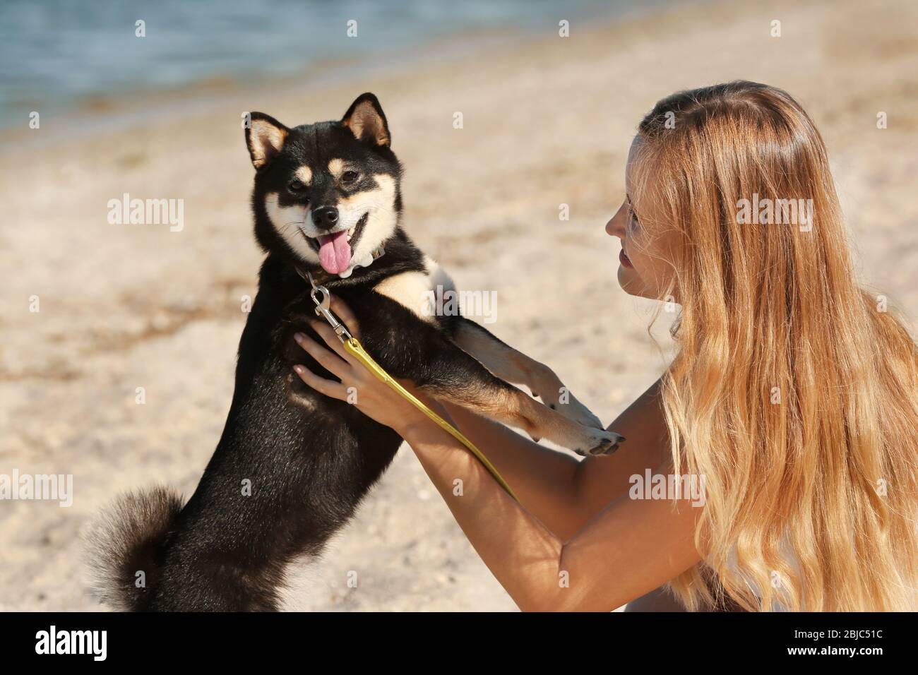 Woman with cute little Shiba Inu dog at riverside Stock Photo - Alamy