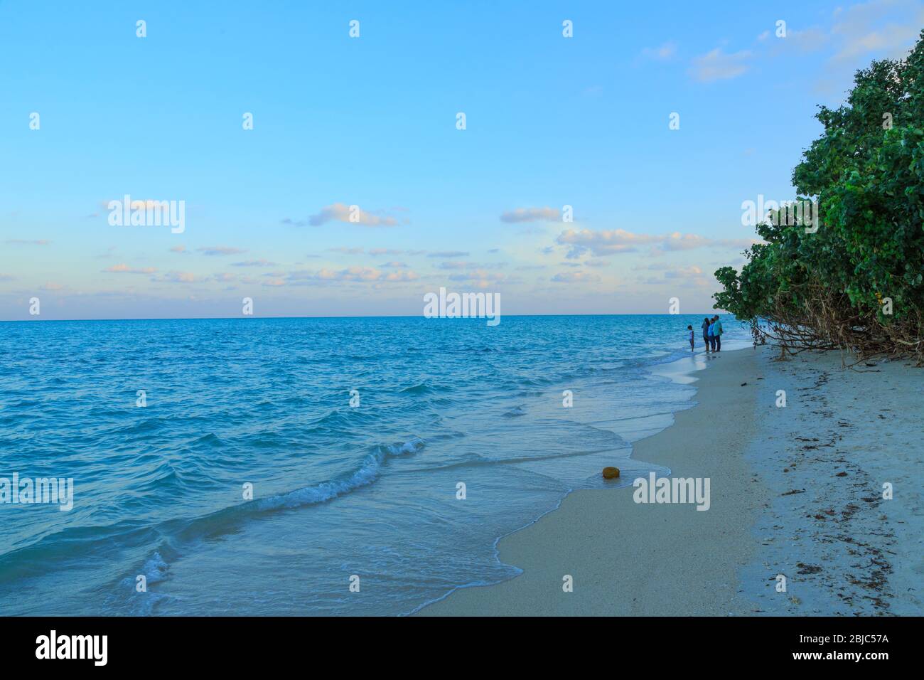 Travellers enjoying the beauty of the sea beach during sunset time at ...