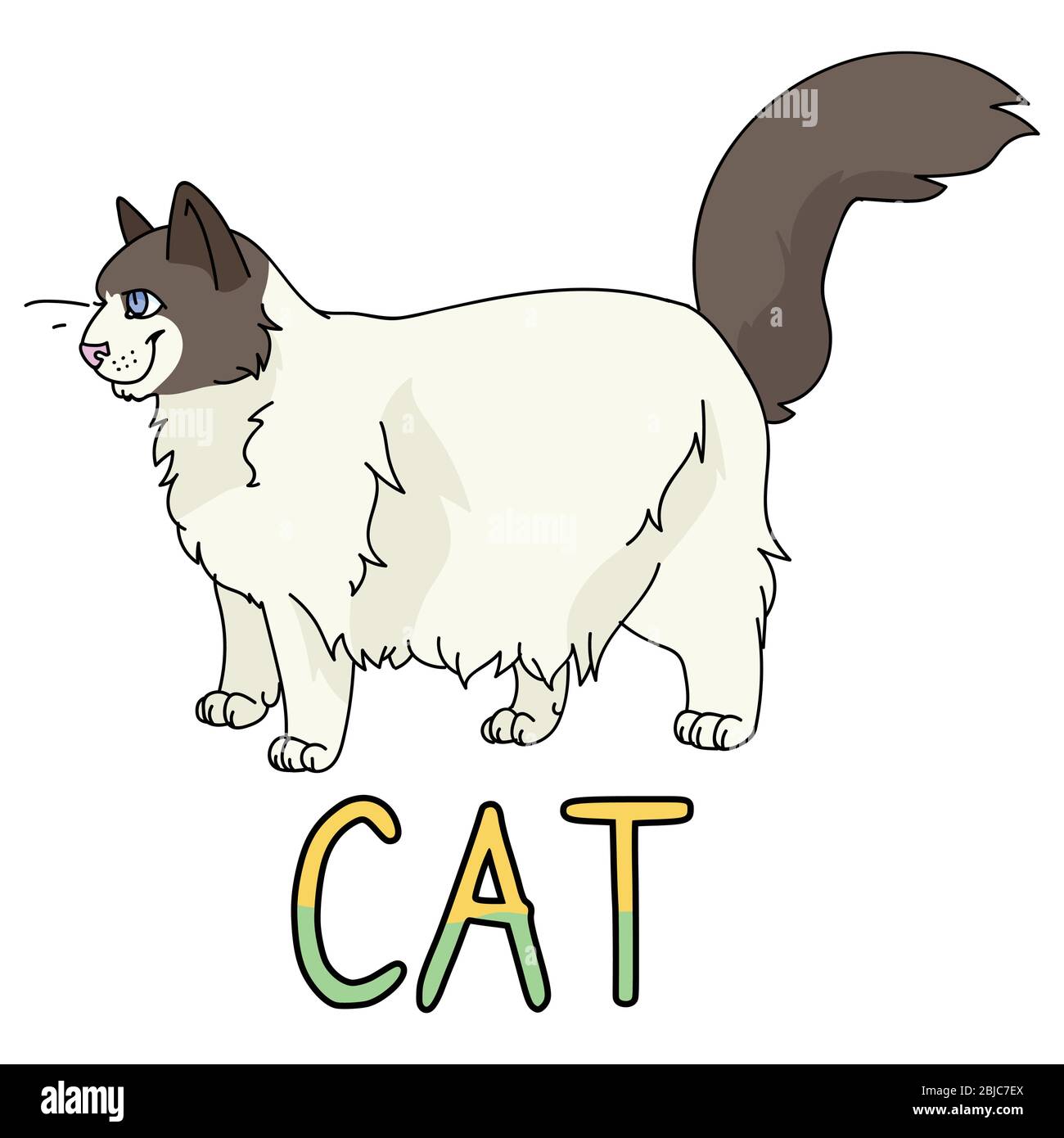 Cute cartoon ragdoll cat with text vector clipart. Pedigree kitty breed ...