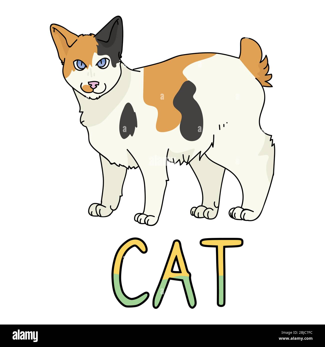 Calico Japanese Bobtail
