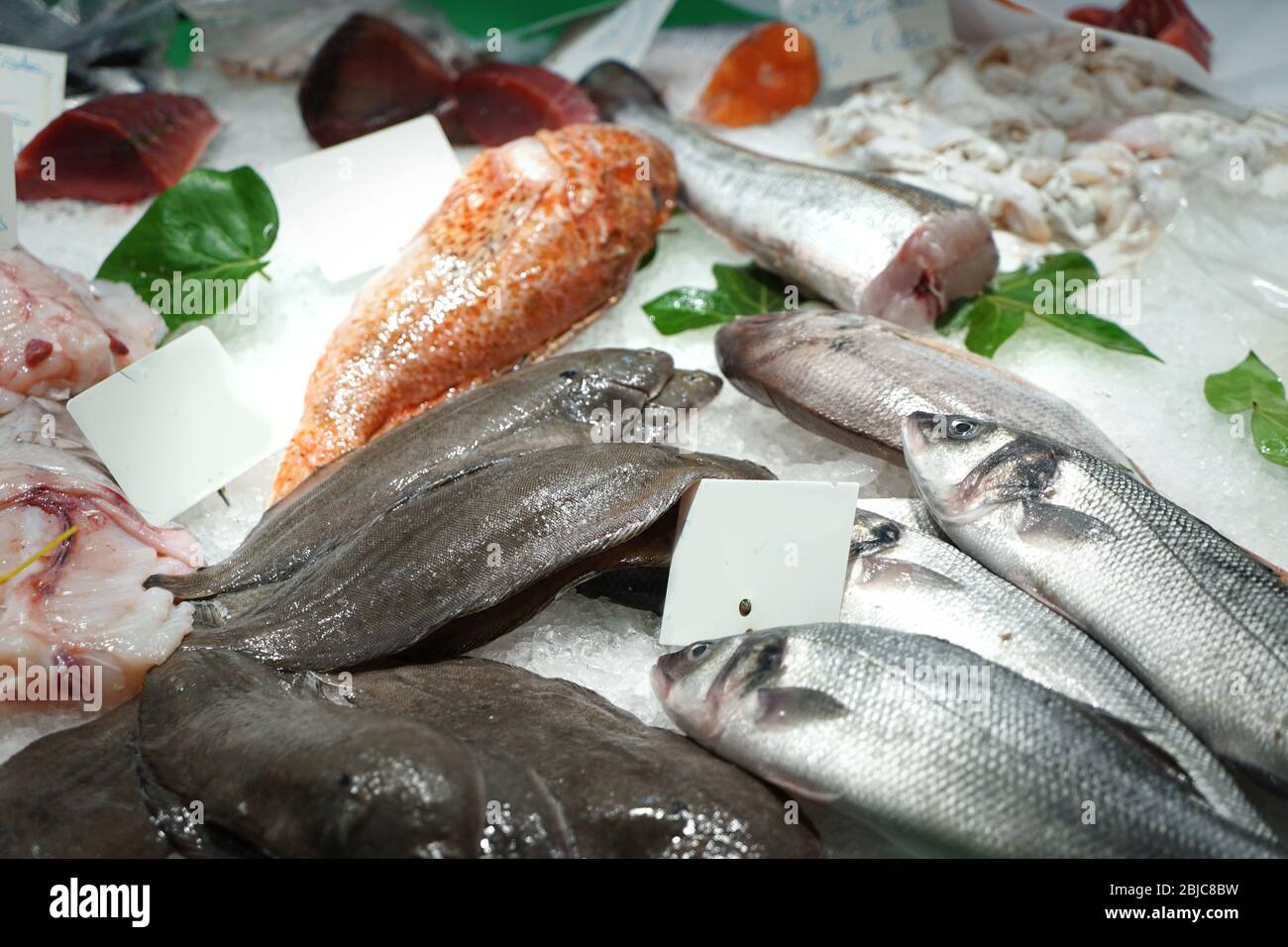 Supermarket shelves fresh fish hi-res stock photography and images - Alamy