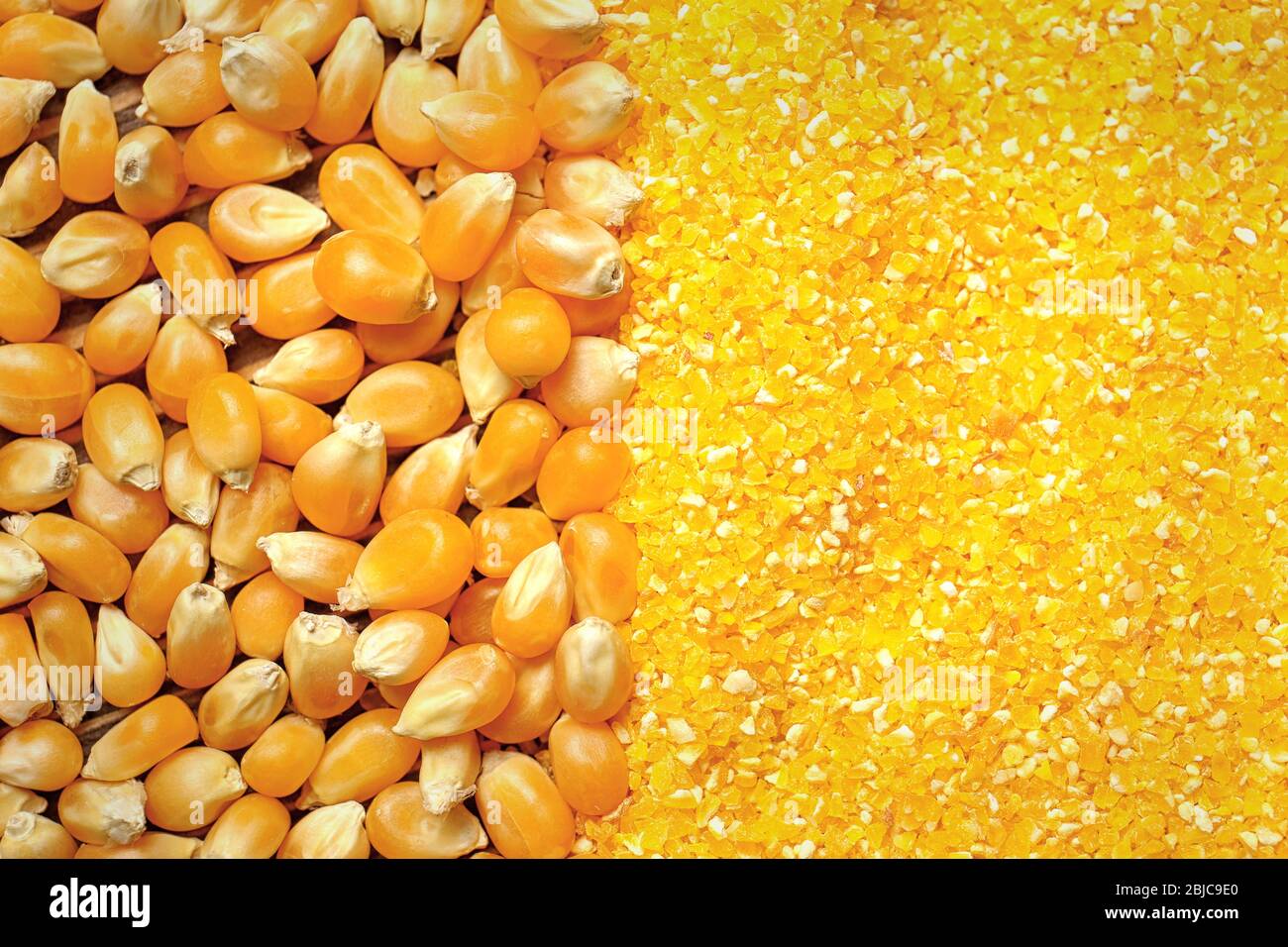 Corn seeds and cornmeal background Stock Photo - Alamy