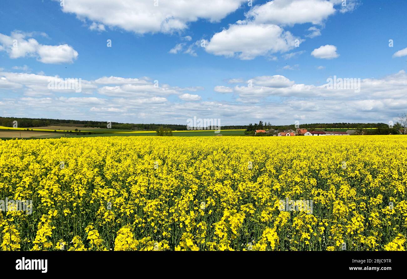 Bright beautiful summer landscape of the countryside and clouds. View ...