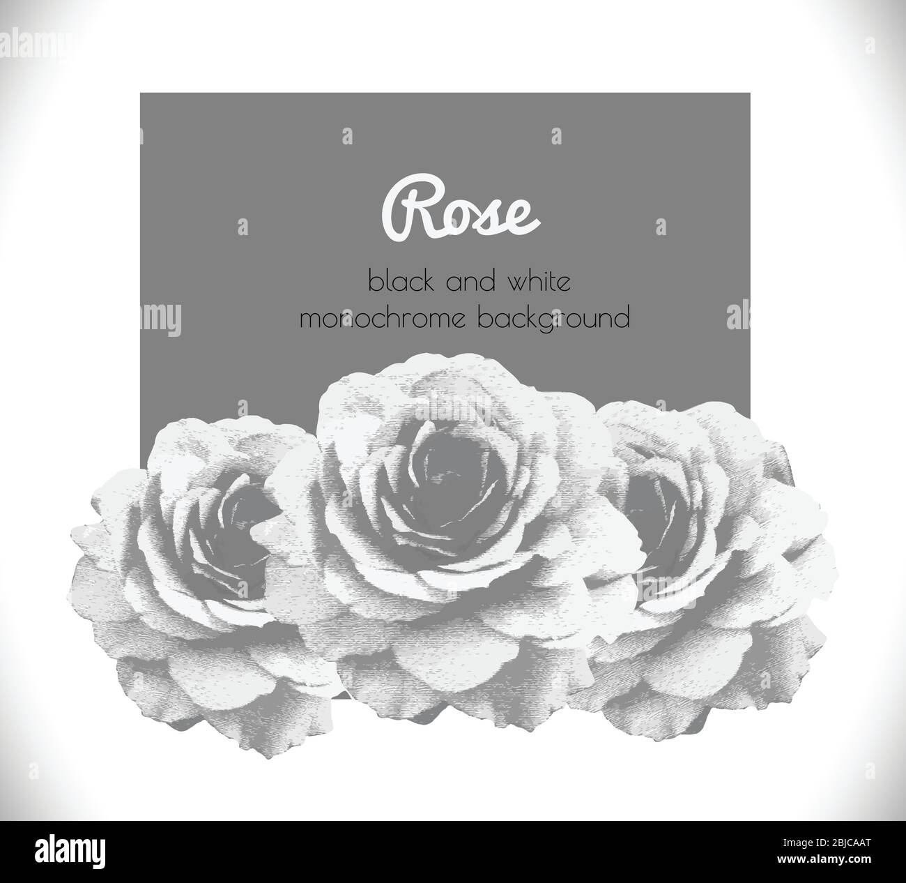 Black and white monochrome background with roses Stock Vector Image ...