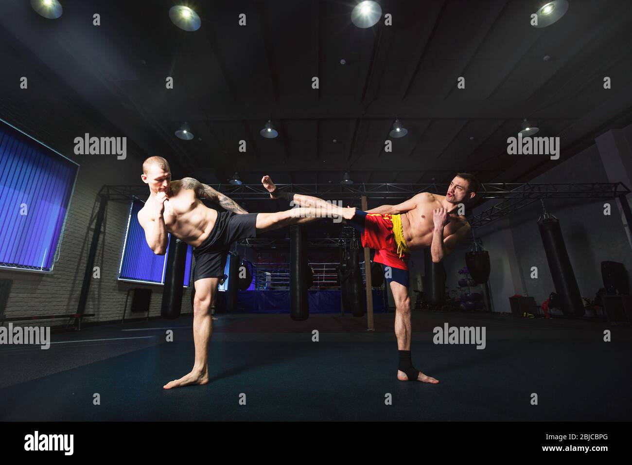 Combat Boxe High Resolution Stock Photography and Images - Alamy