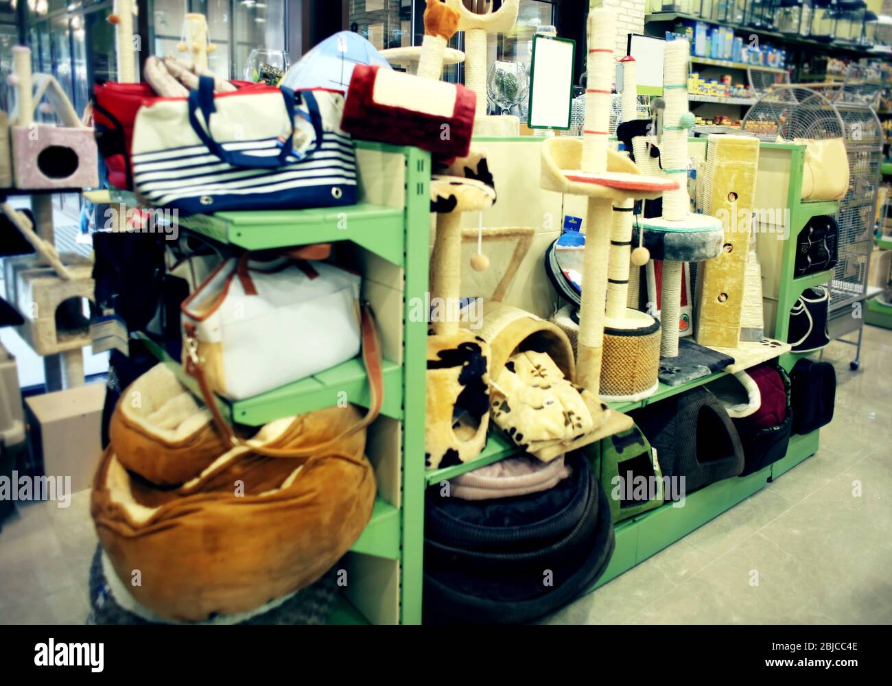 Different animal goods on pet shop shelves Stock Photo - Alamy
