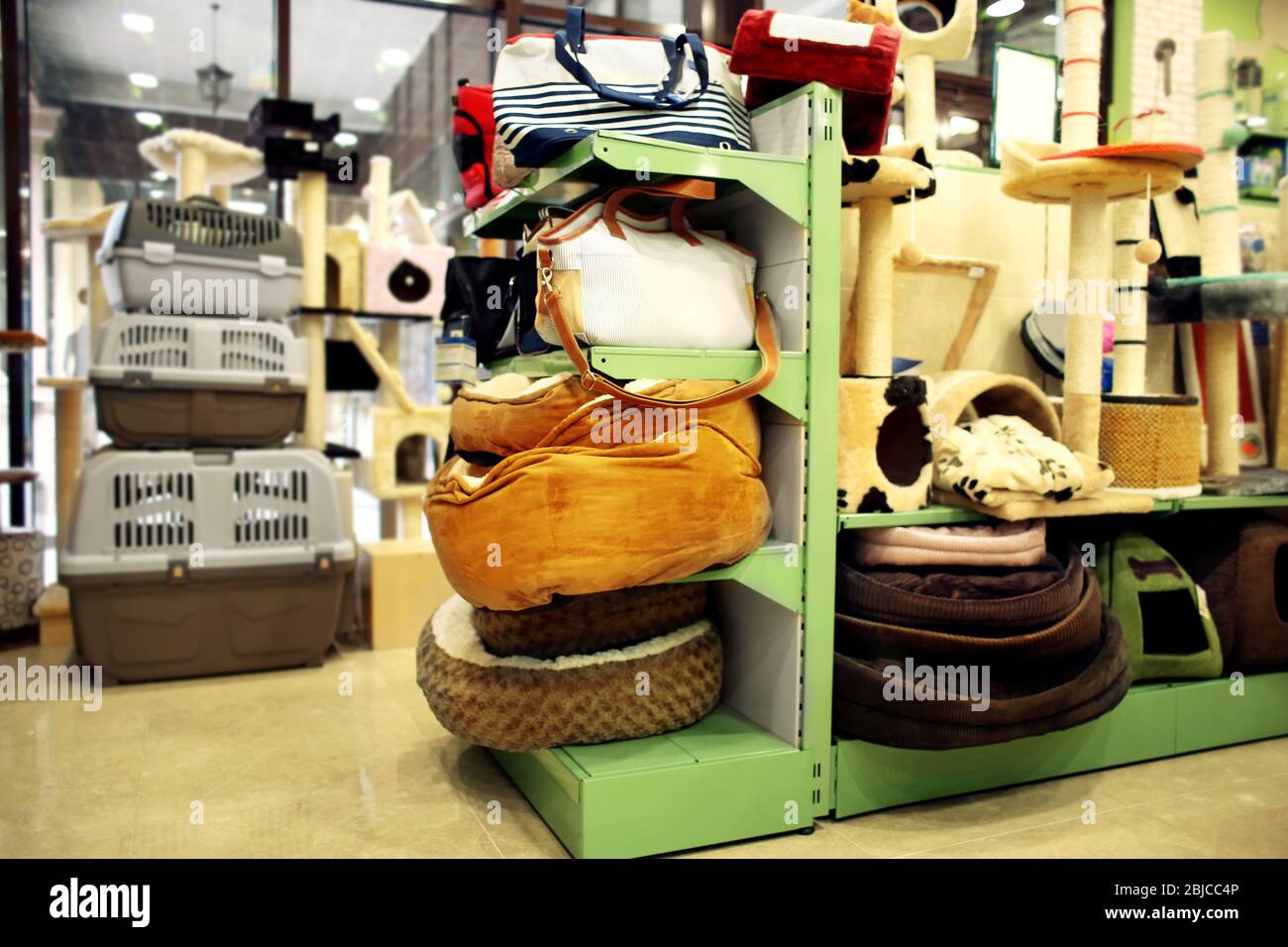 Different animal goods on pet shop shelves Stock Photo - Alamy