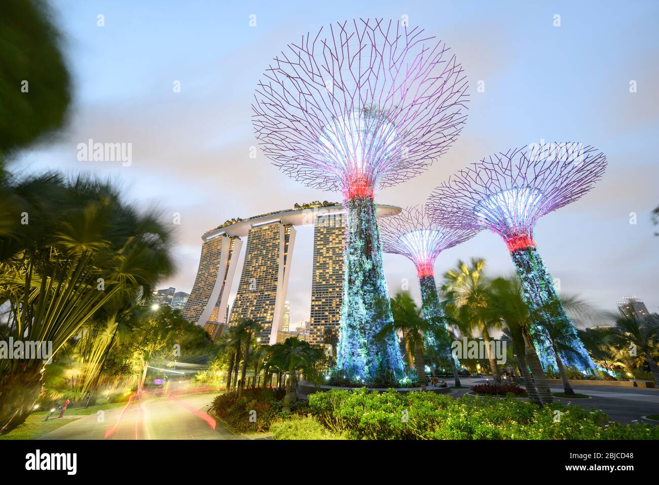 Singapore 02. January 2020 : Gardens by the Bay with the Super Trees at night, in the background ...