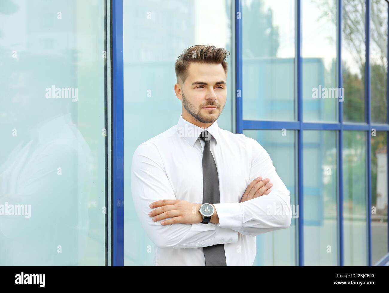 Handsome man on windows background Stock Photo - Alamy