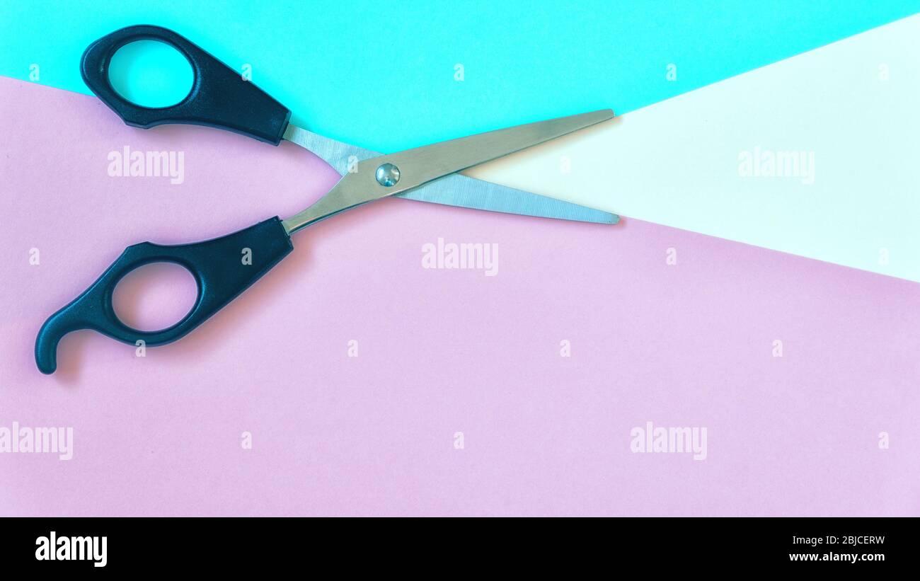 Flat lay of scissors on colored background minimalist pastel colored ...