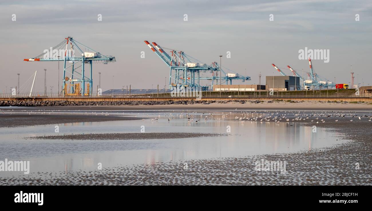 Zeebrugge, Belgium - 31 October 2019: Cranes of the port of Zeebrugge ...