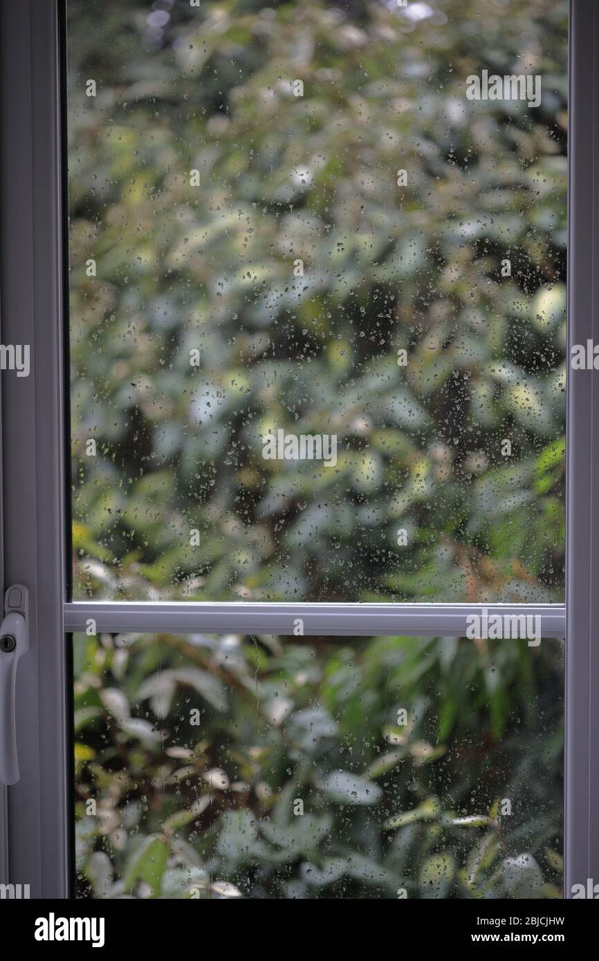 inside looking outside through a rainsplashed window Stock Photo - Alamy