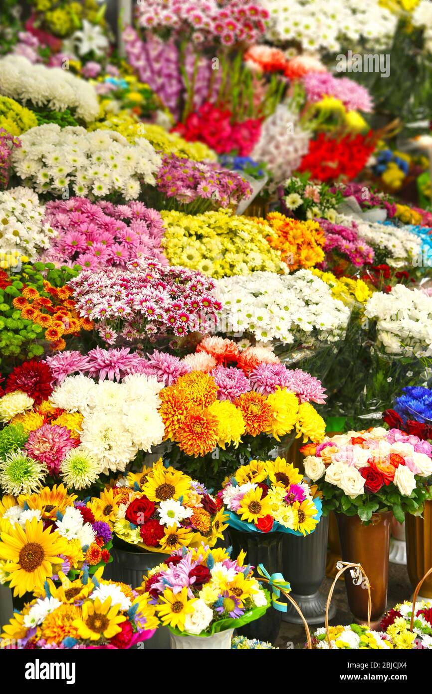 Plenty of colorful flowers in flower shop Stock Photo - Alamy