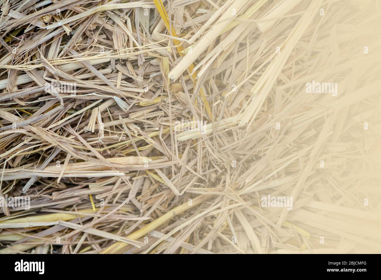 Dry straw background pattern (Top View). Nature Background Stock Photo ...