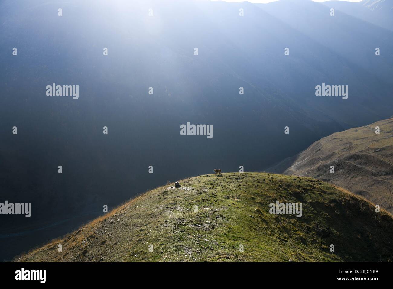 Kvavlo High Resolution Stock Photography and Images - Alamy