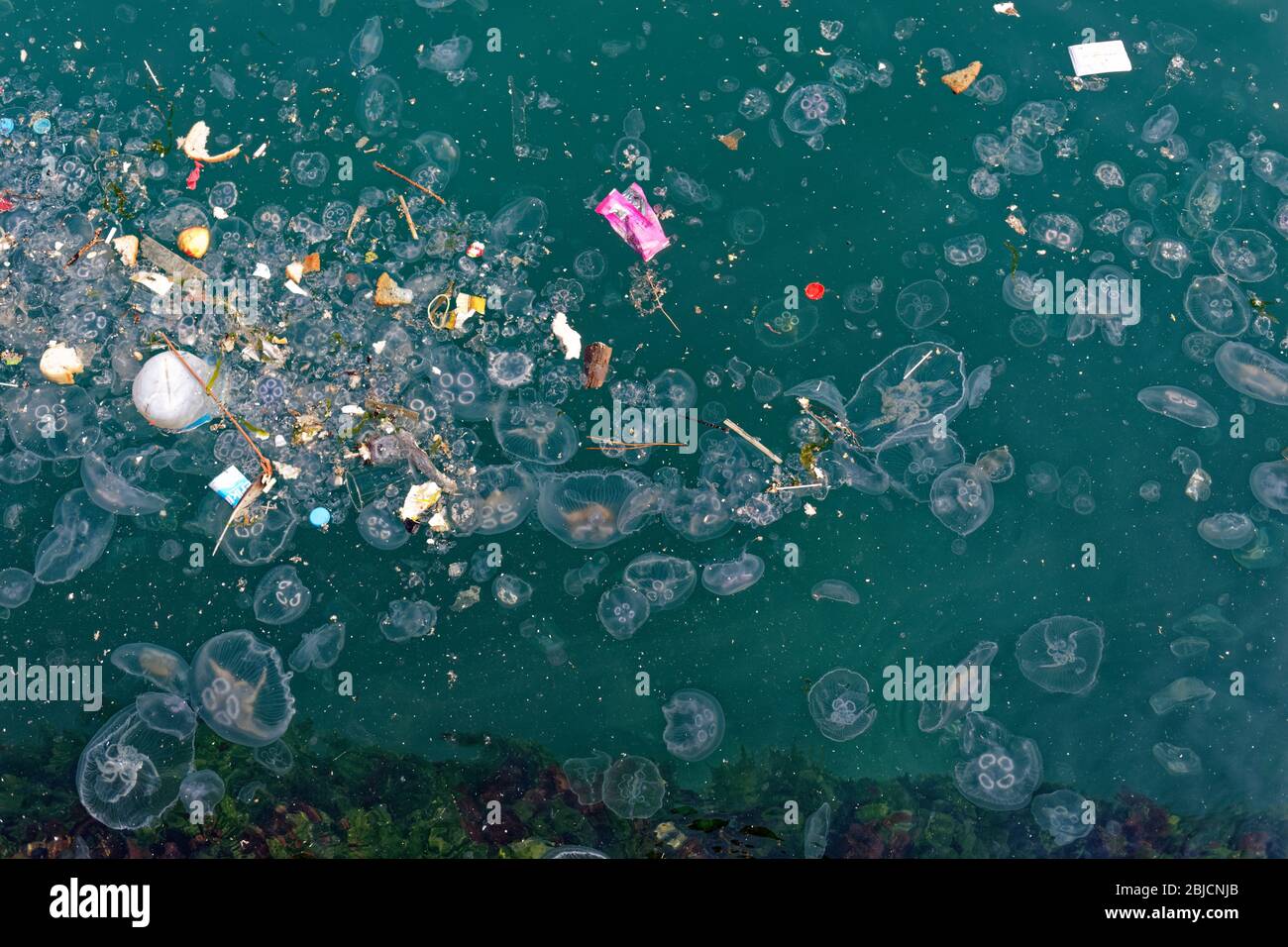 Sea Of Pollution Causes