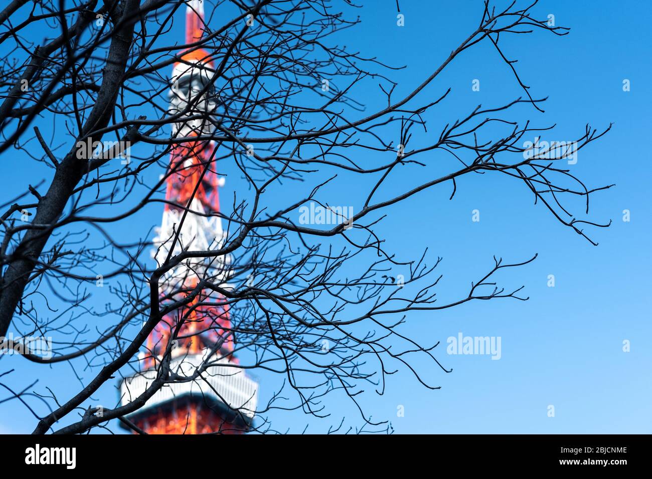 Tokyo tower tree branches hi-res stock photography and images - Alamy
